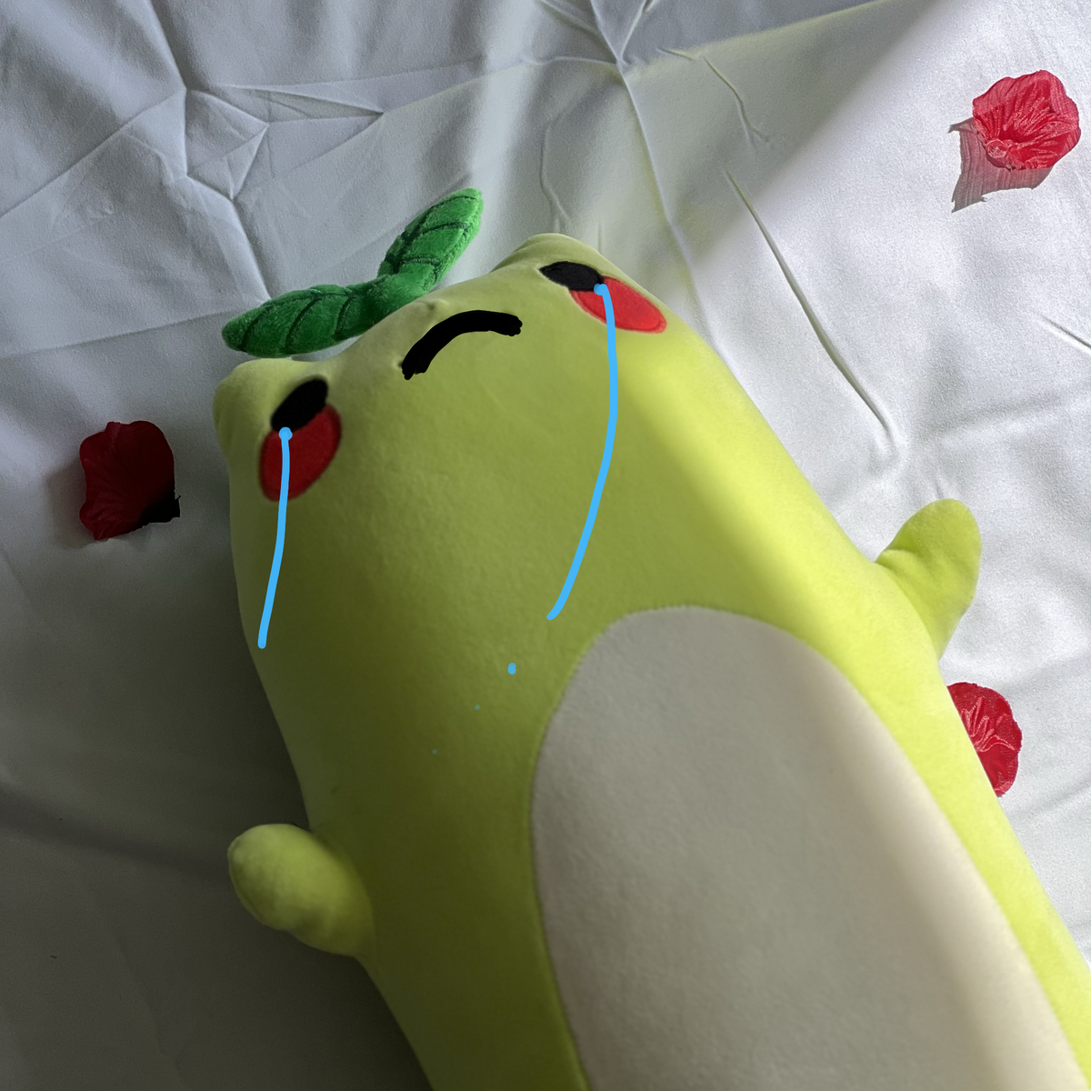 IMG_3770_1200x1200.png?v=1690149509