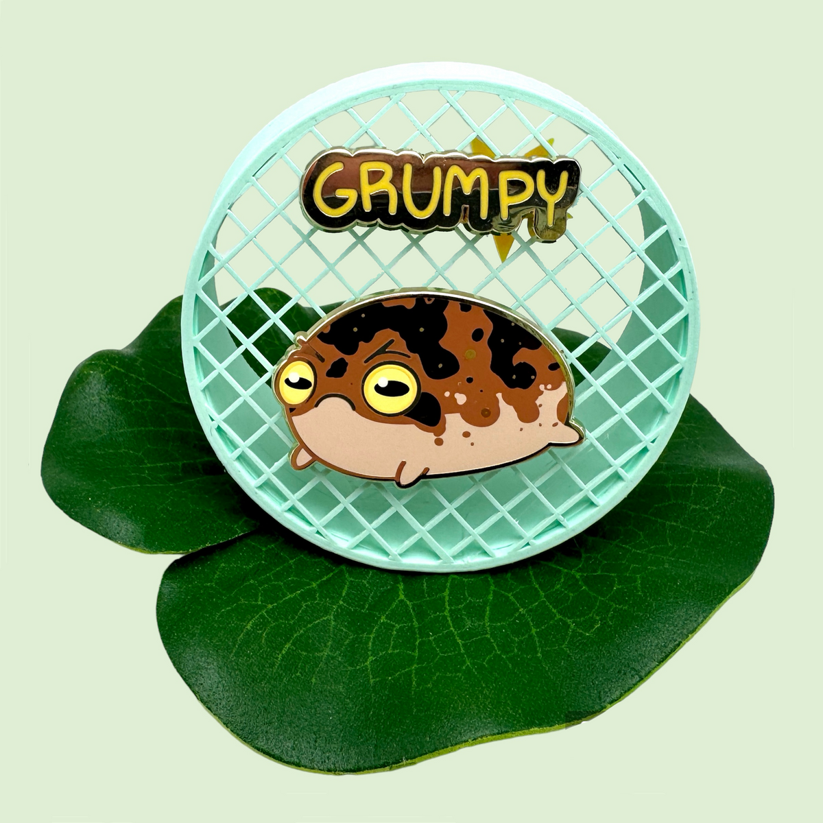 Grumpy Rain Frog Pin Set – PondHQ