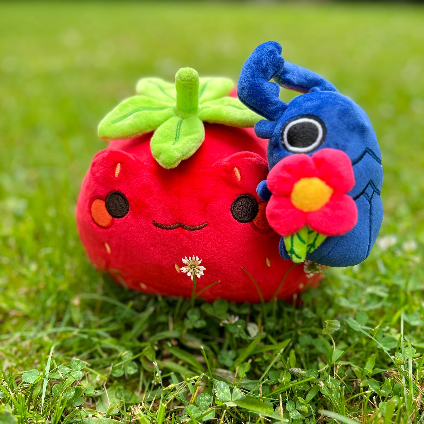 Barry the Strawberry Frog Plush Pre-Order (September Delivery) – PondHQ